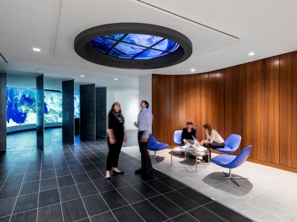 Airbus Project Profile | Avidex